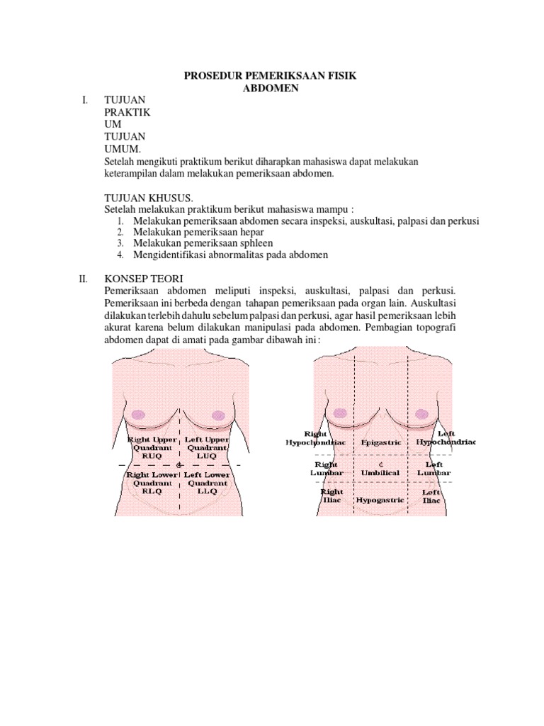 Sop Pemeriksaan Fisik Abdomen | PDF
