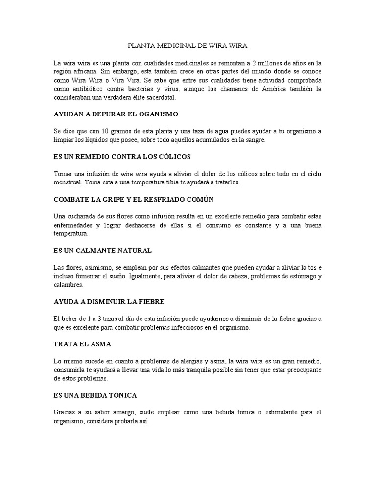 Planta Medicinal de Wira Wira | PDF | Cocina, comidas y vino