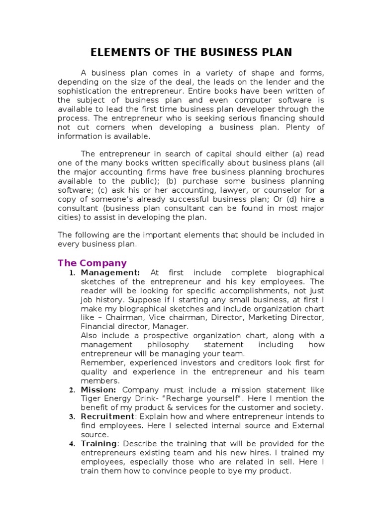Elements of a Successful Business Plan | PDF | Business Plan ...