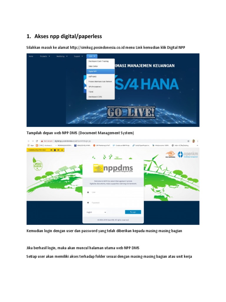 Kerangka Juknis Digitali NPP | PDF