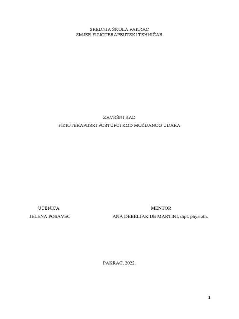 Maturalni Rad - Moždani Udar | PDF