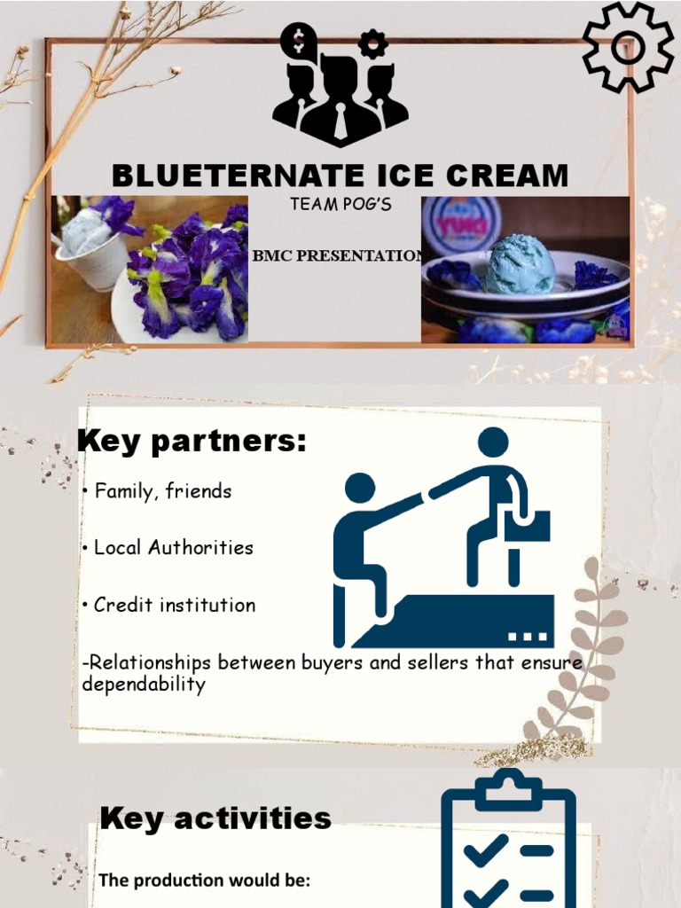 Blueternate Ice Cream BMC Presentation | PDF | Sales | Social Media
