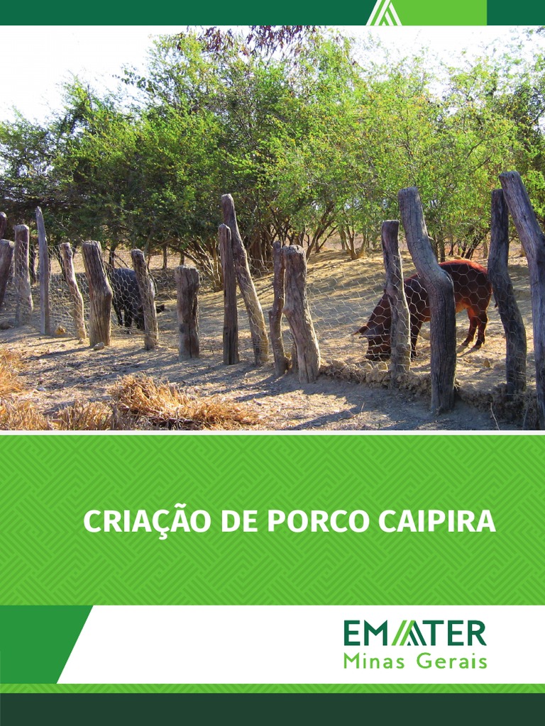 Criacao de Porco Caipira - Versao Final Corrigida 18 11 20 | PDF ...