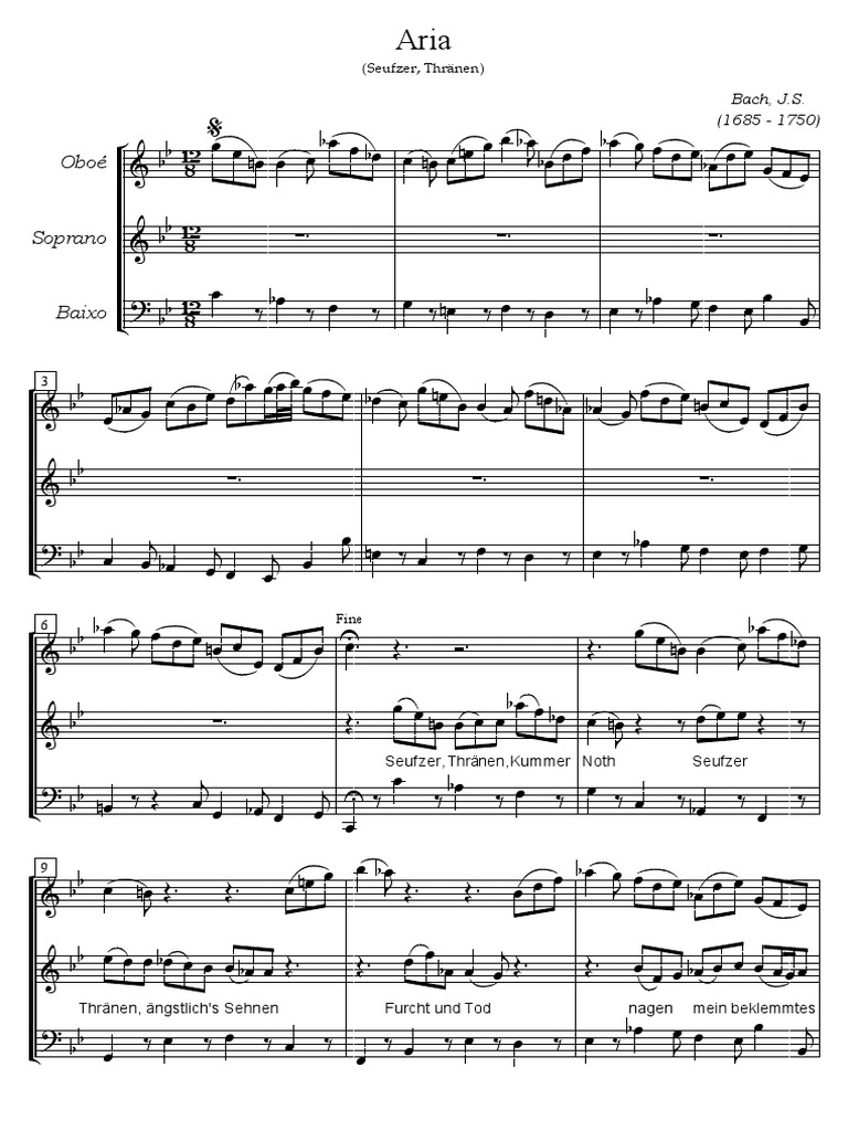 IMSLP444901-PMLP149217-Bach - Aria Cantata 21 | PDF