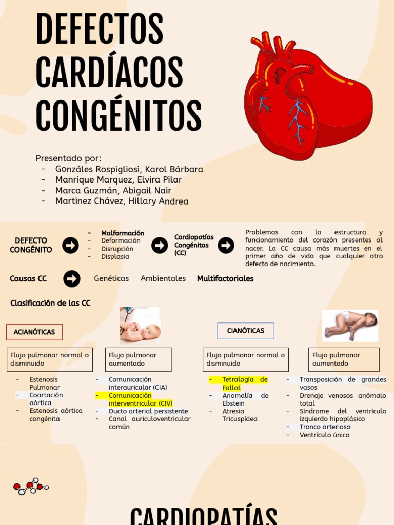 Defectos Cardiacos | PDF | Defecto cardiaco congenito | Corazón