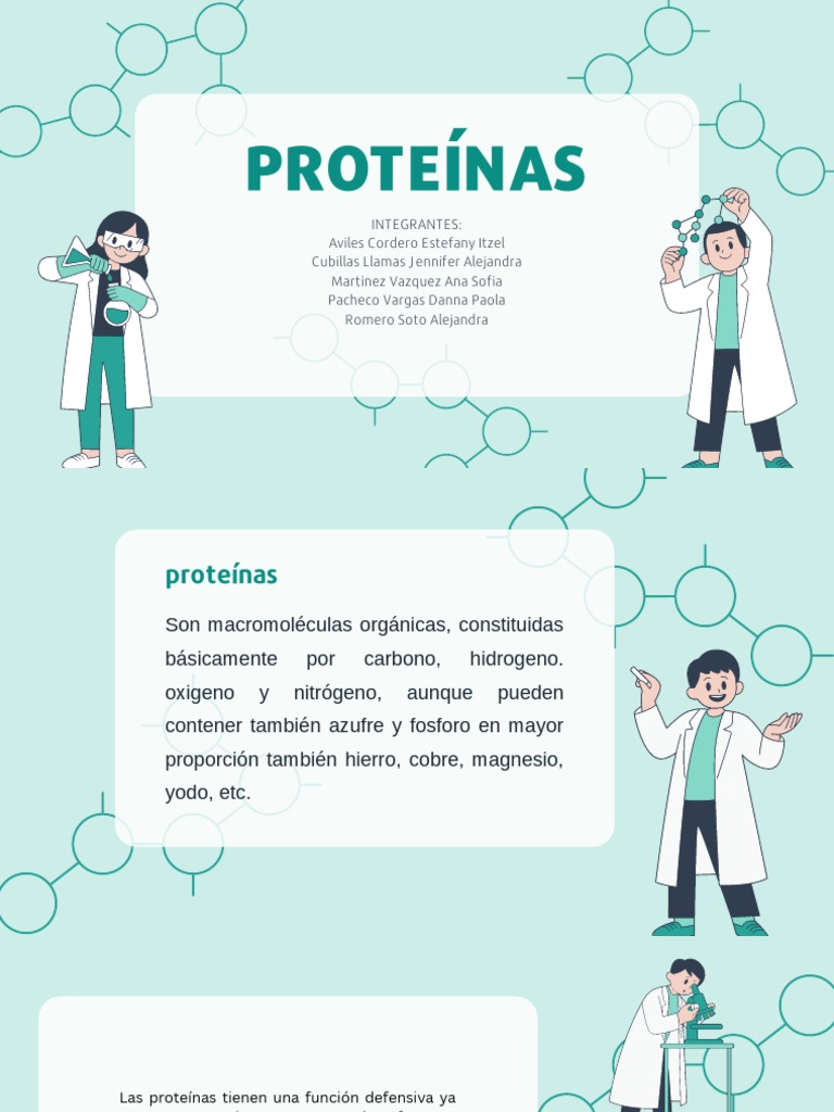 PROTEINAS | PDF | Proteínas | Química