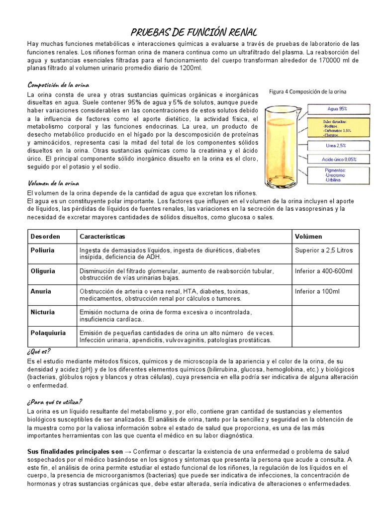 Manual de Orinas | PDF | Orina | Riñón