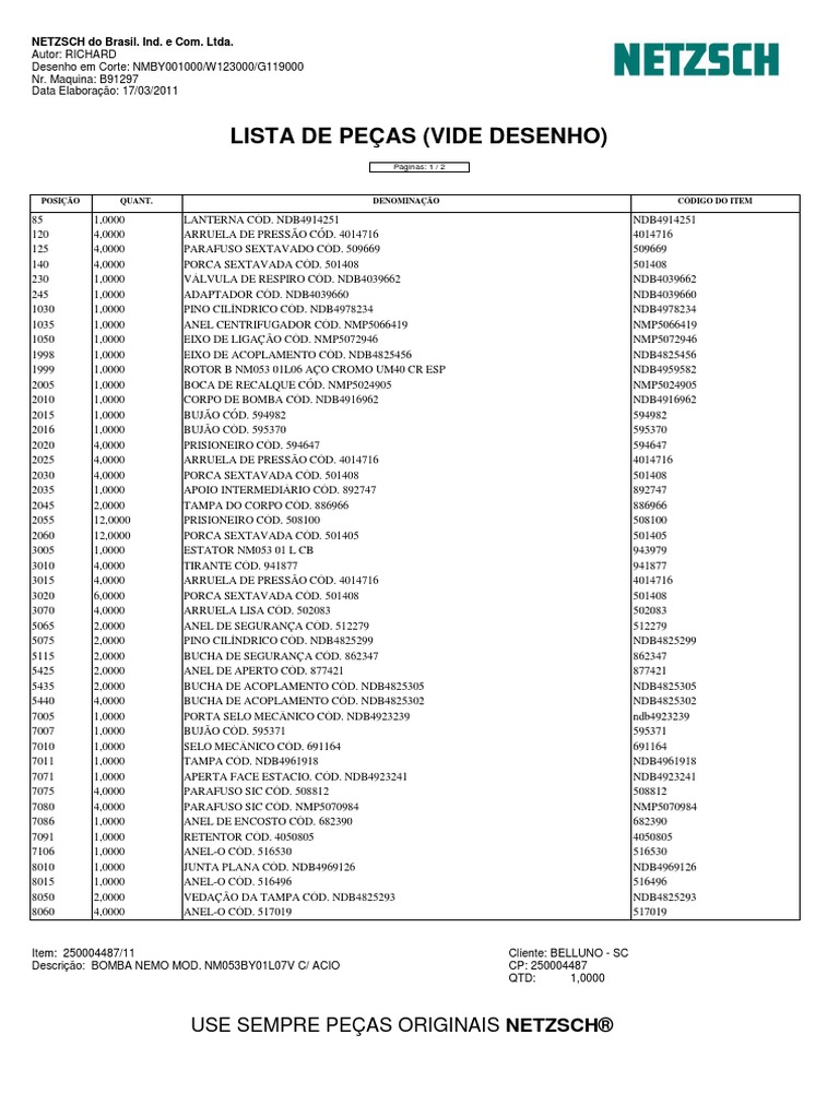 Bomba Agua (Netzsch - NEMO NMBY NM053BY) | PDF
