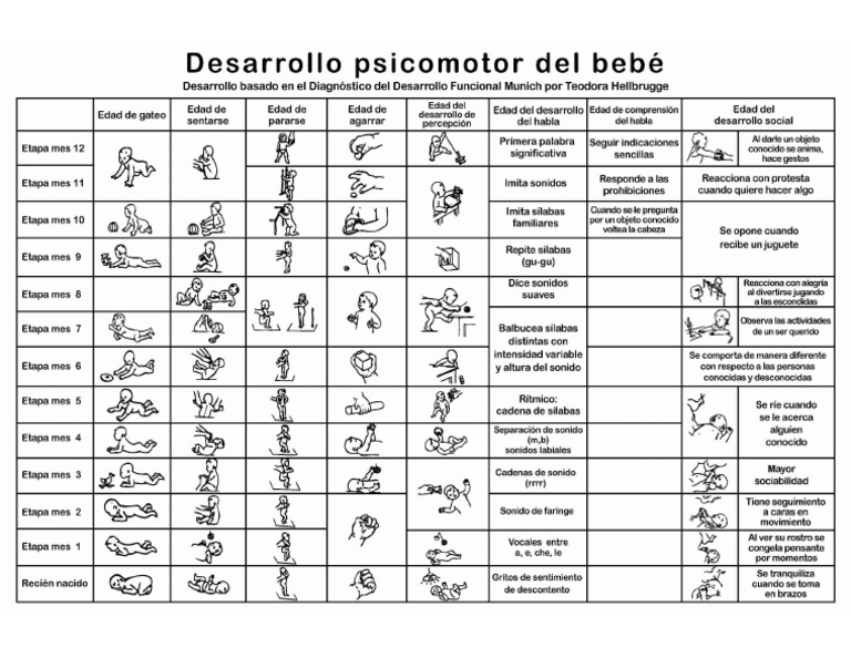 Desarrollo Psicomotor Primer Año | PDF