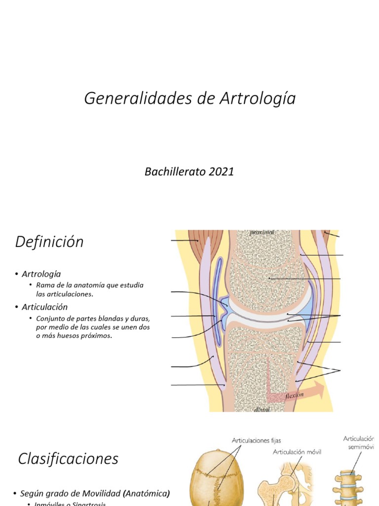 Clase 5 Generalidades de Artrologia Bachillerato 2021 | PDF | Articulación | Anatomía