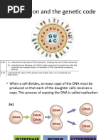 Dna Base Pairing Worksheet | PDF