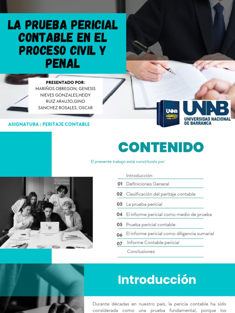 Diligencia Pericial en Peritaje Contable | PDF | Testigo experto | Experto