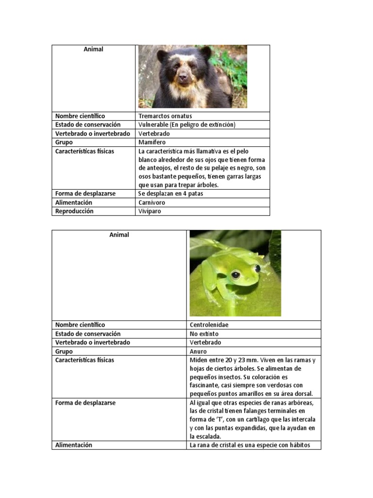 Fichas Tecnicas 11b | PDF | Aves | Vertebrados