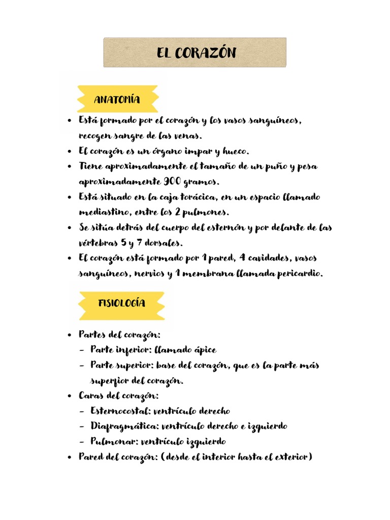 El Corazón Tbe | PDF | Corazón | Artería