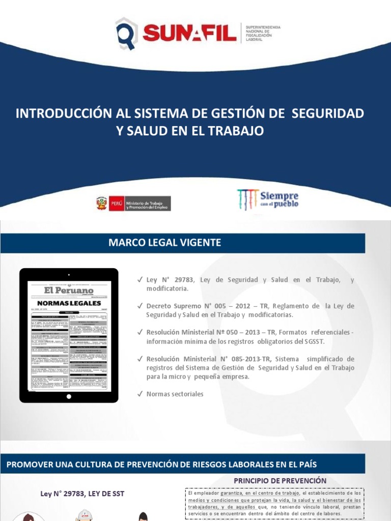 Introducción Al Sistema de Gestión de SST | PDF | Valores
