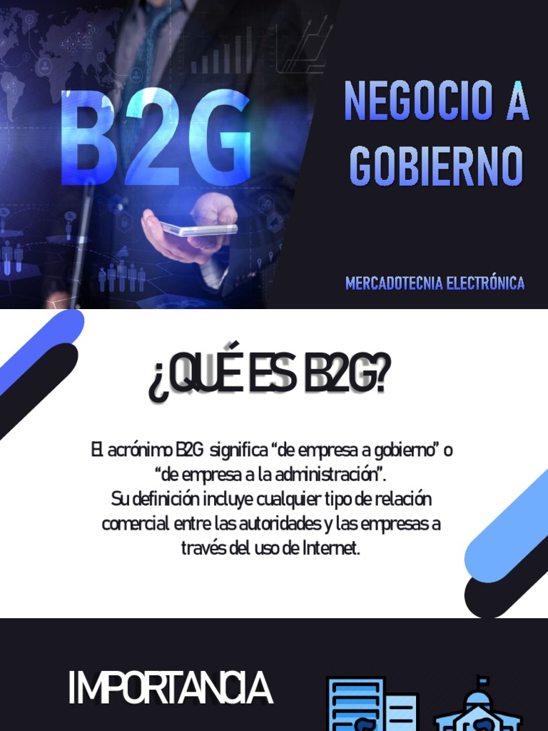 Modelo B2G | PDF | Business | Economias