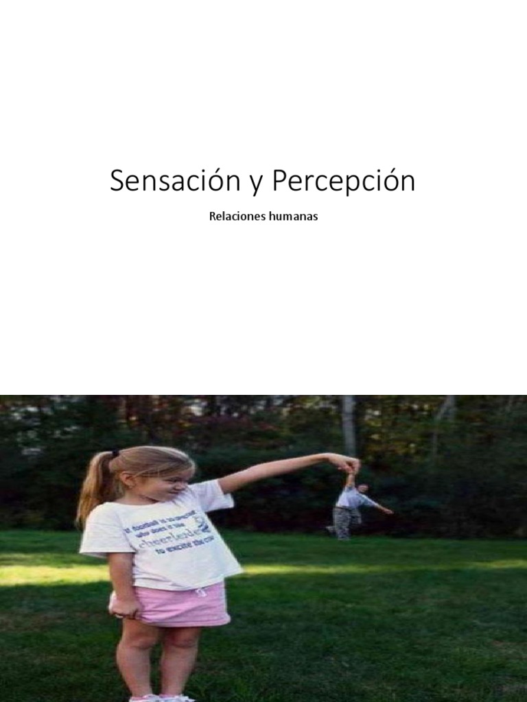Sensacion y Percepcion | PDF | Percepción | Sentidos