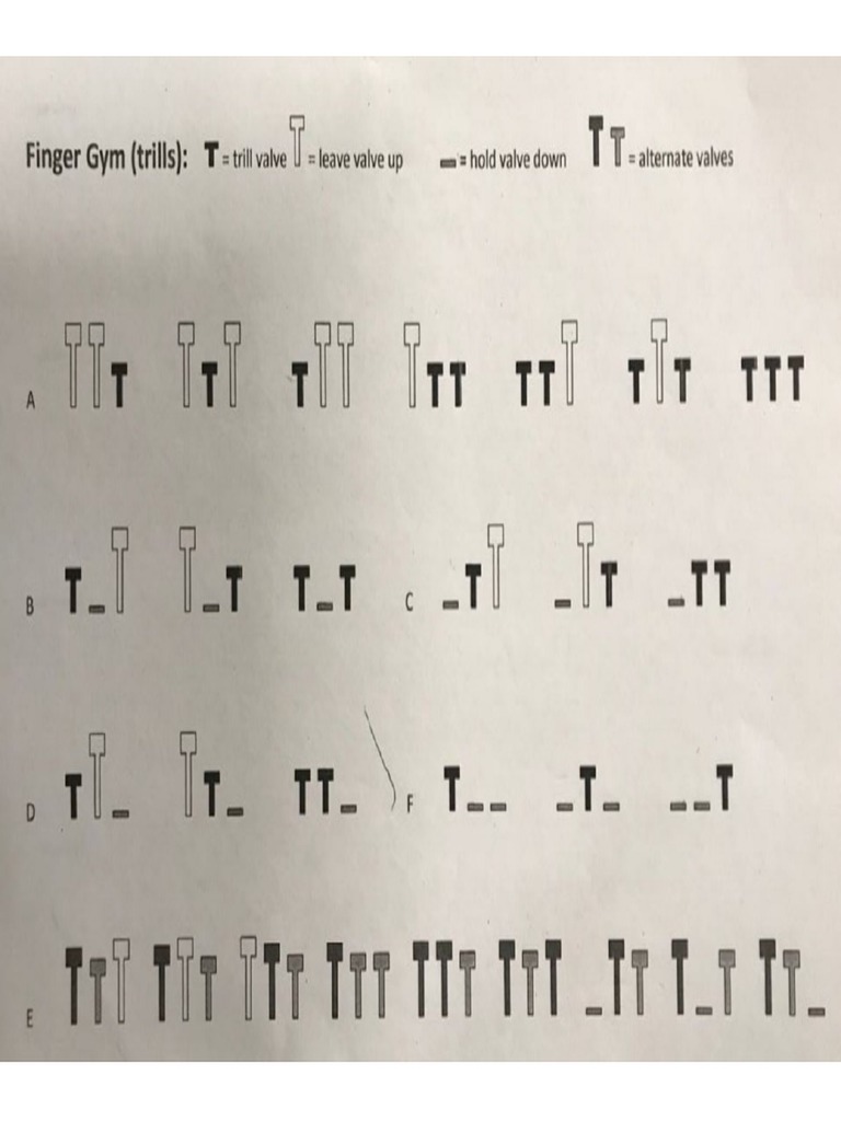 FT's Finger Gym | PDF