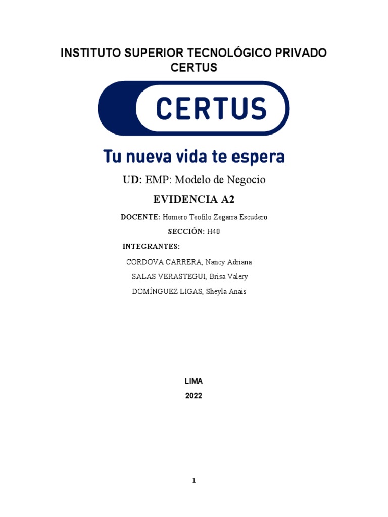 Evidencia AA2 - Emp - Modelo de Negocio | PDF | Micrófono | Desigualdad social