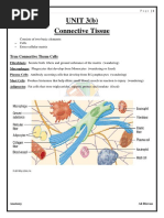 Pediatric Clinical Examination | PDF | Abdomen | Physical Examination