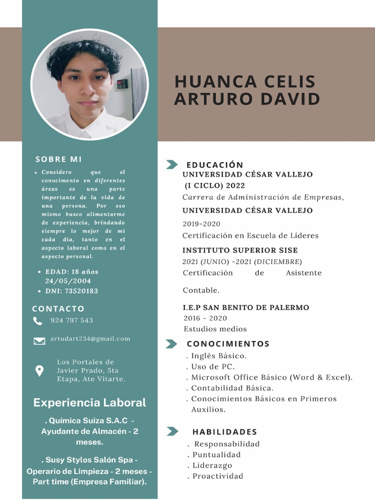 Curriculum Vitae - Huanca Celis Arturo David PDF | PDF
