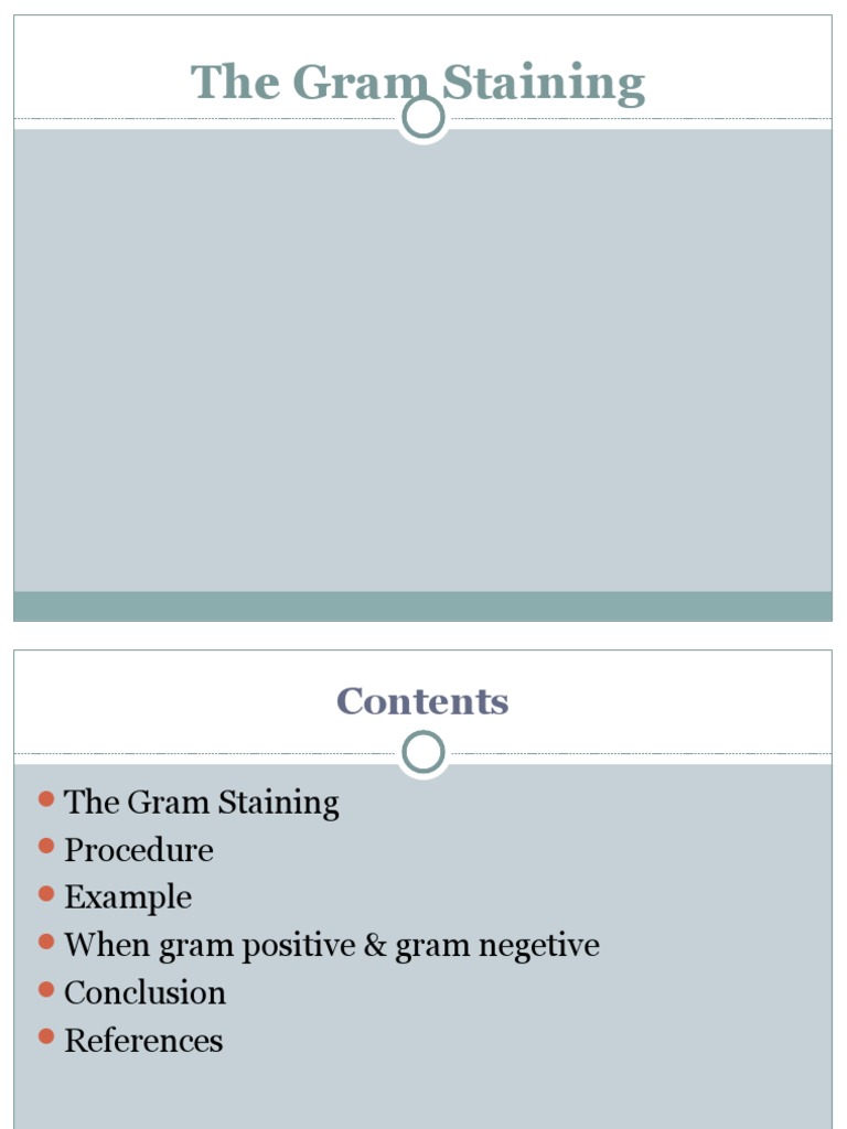 Gram Stain | PDF | Staining | Gram Positive Bacteria