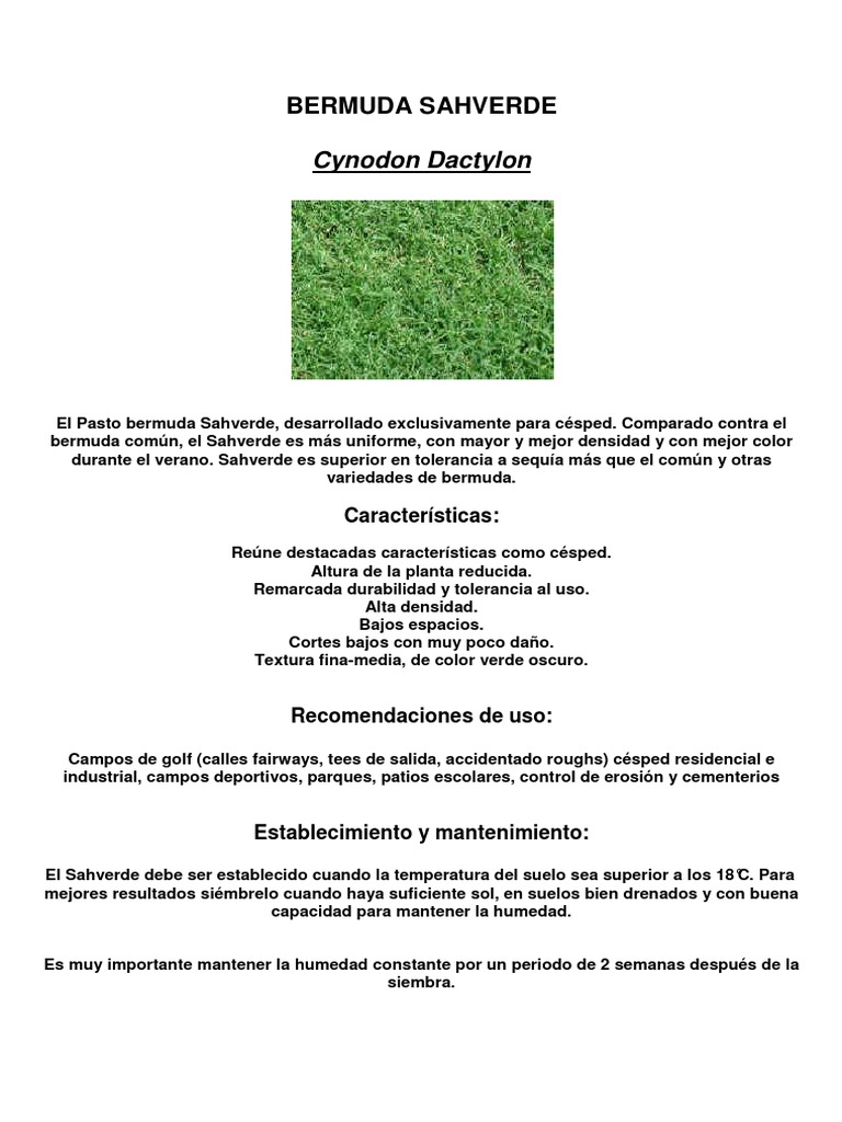 Características y recomendaciones para el establecimiento y ...