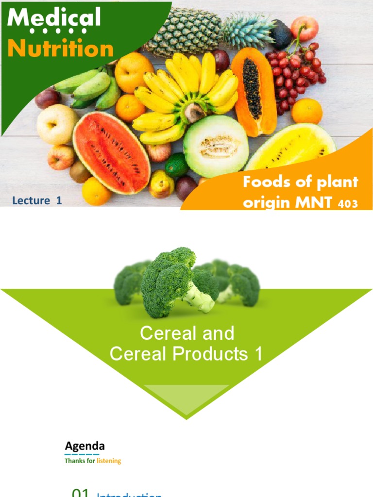 Structure and Uses of Cereal Grains | PDF | Cereals | Seed