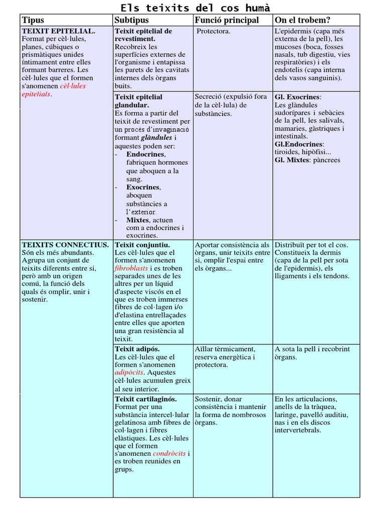 Taula Teixits-21 | PDF