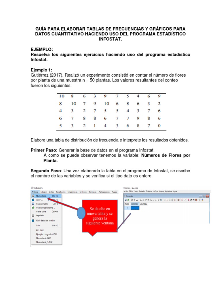 Guia para Elaborar Tablas y Graficos en Infostat (Cuantitativa) | PDF ...