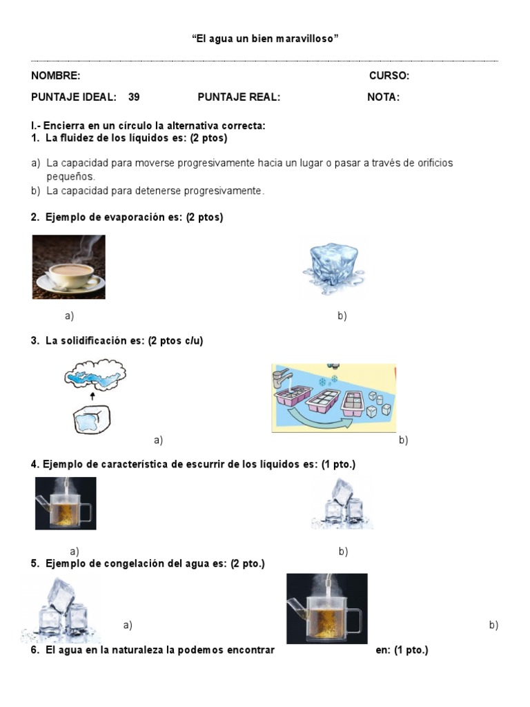 Prueba Cs. Nat. Estados Del Agua | PDF | Líquidos | Agua
