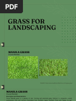 GRass N | PDF | Plants | Botany