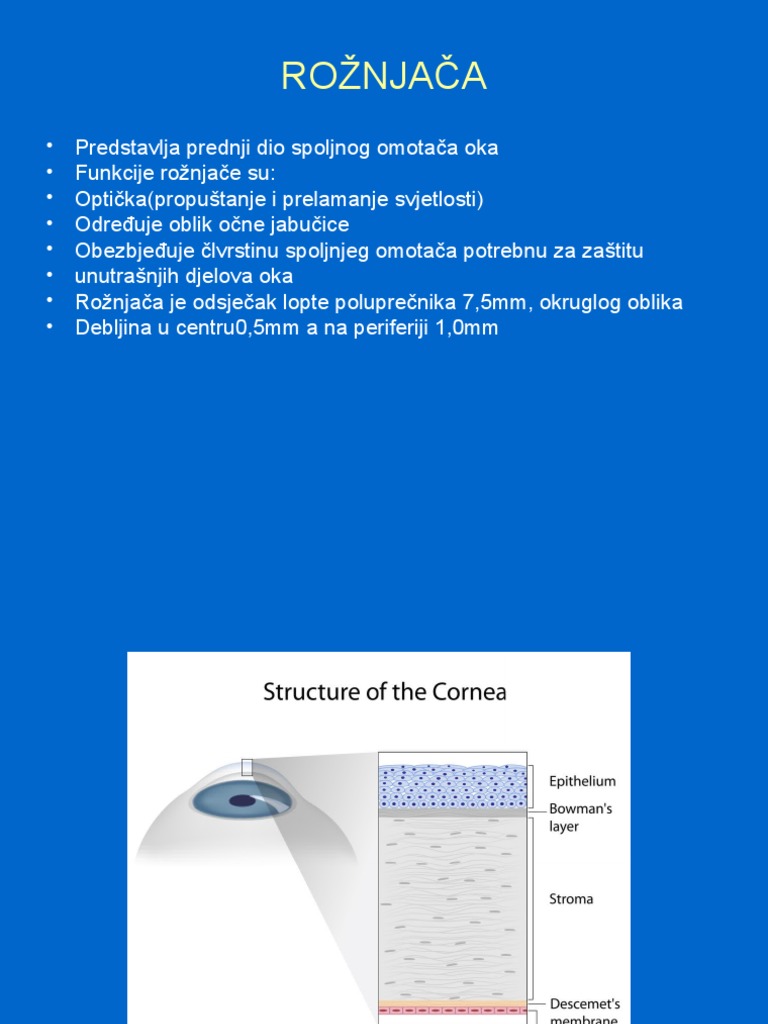 2021 Roznjaca Beonjaca Suzni Putevi | PDF