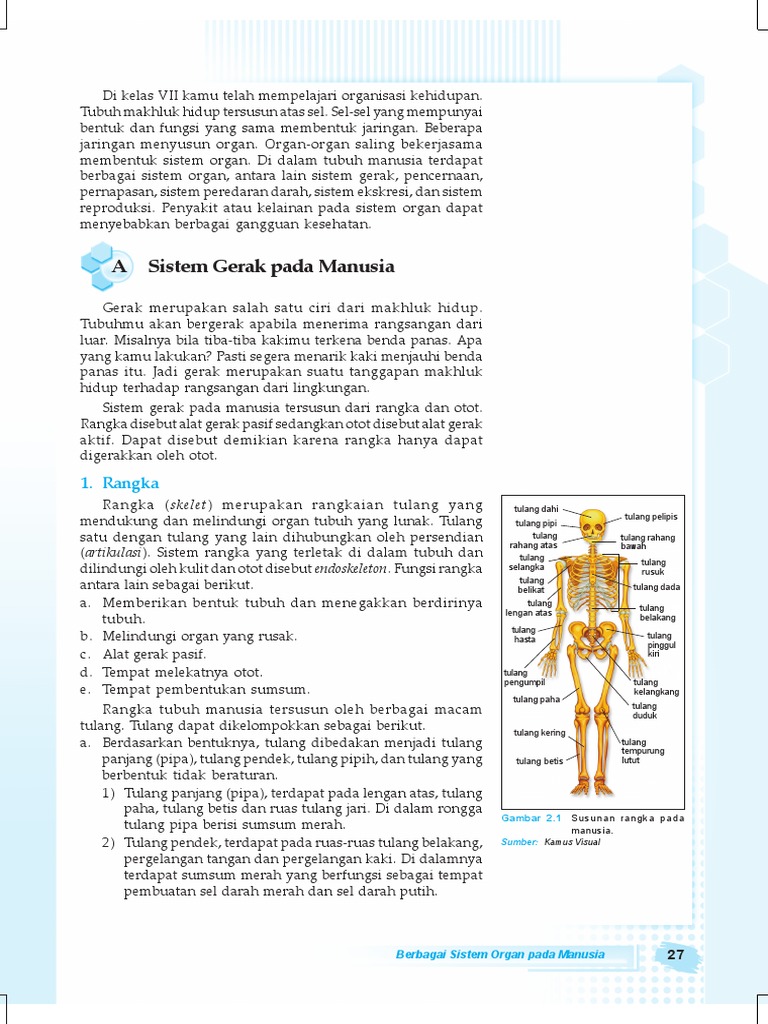 03 Bab 2 SISTEM ORGAN MANUSIA | PDF