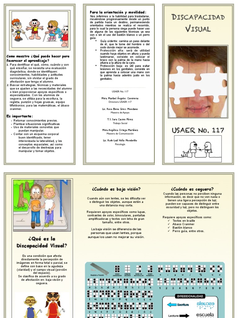 Disc VISUAL 117 Rosy | PDF | Discapacidad visual | Percepción visual