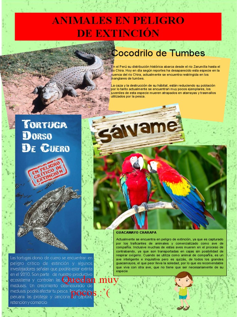 Afiche Animales en Peligro de Extinción | PDF