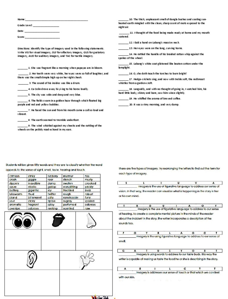 Sensory Images Quiz | Download Free PDF | Cognitive Science | Nervous ...