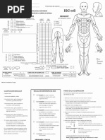 Escala de Asia | PDF | Médula espinal | Anatomía humana