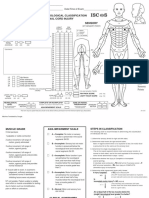 Asia Scale | PDF | Anatomical Terms Of Motion | Spinal Cord Injury