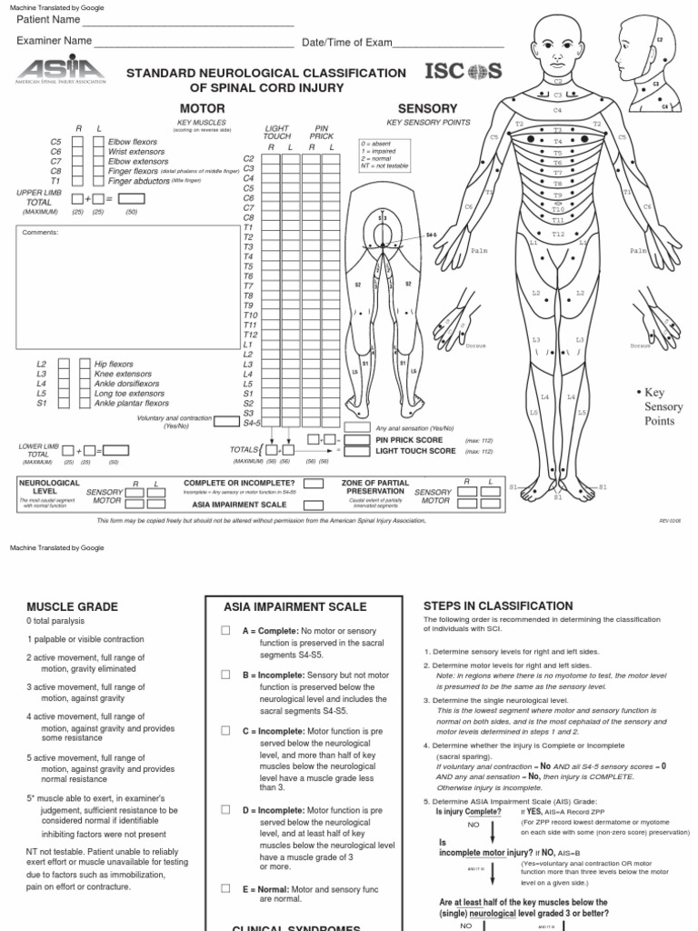 ASIA | PDF | Spinal Cord Injury | Neuroanatomy