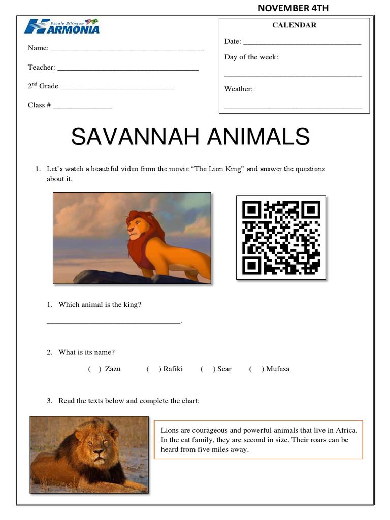 Informações Lion | PDF | Lion | Mammals Of Africa