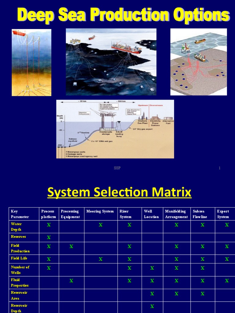 Deepwater Production System Overview | PDF | Hydrocarbons | Gases