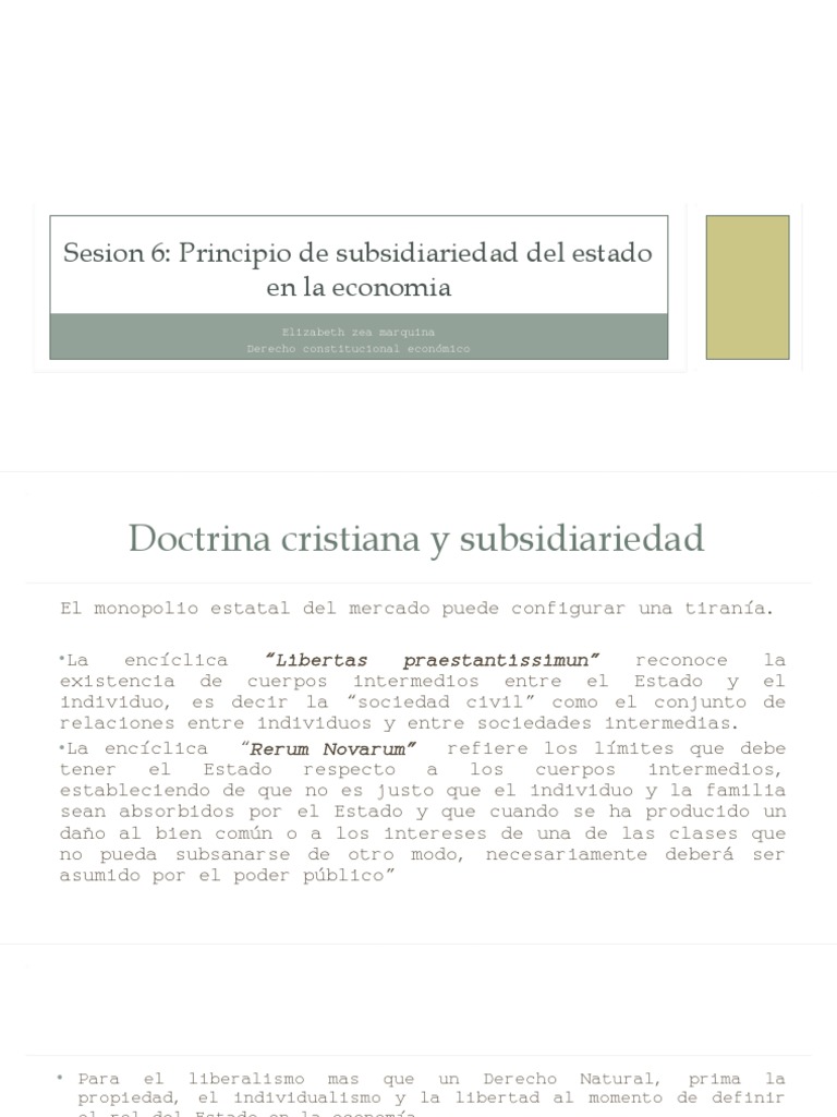 Sesión 6 Principio de Subsidiariedad Del Estado en La Economía | PDF ...