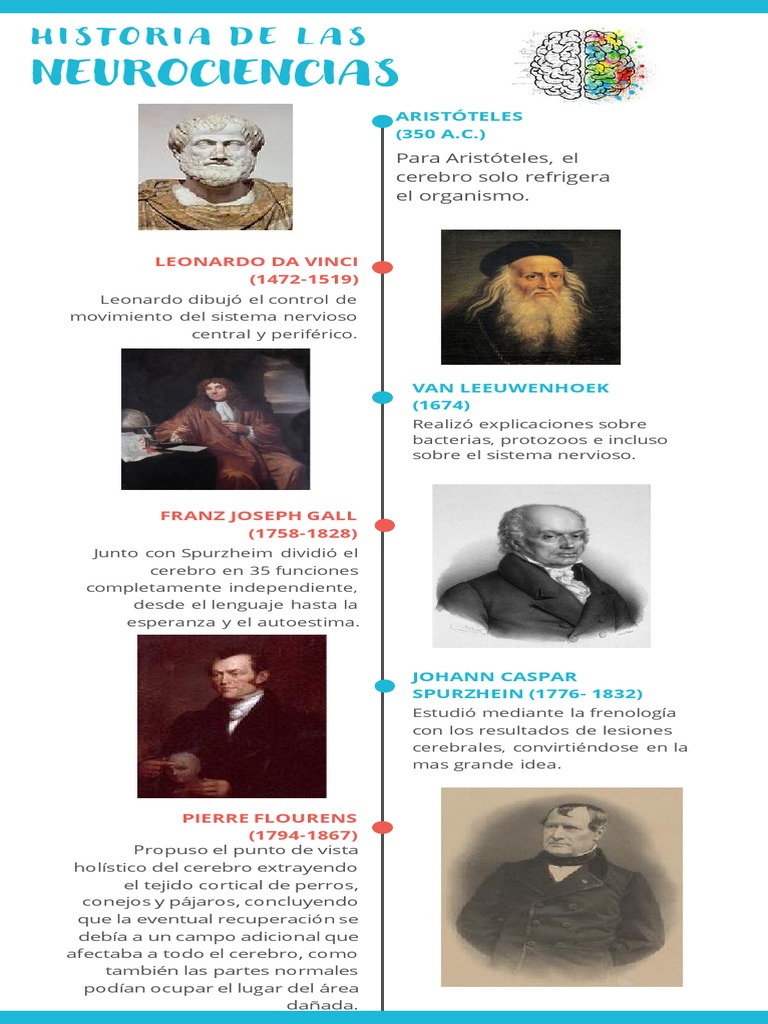 línea de tiempo de las neurociencias | PDF | Cerebro | Neurona