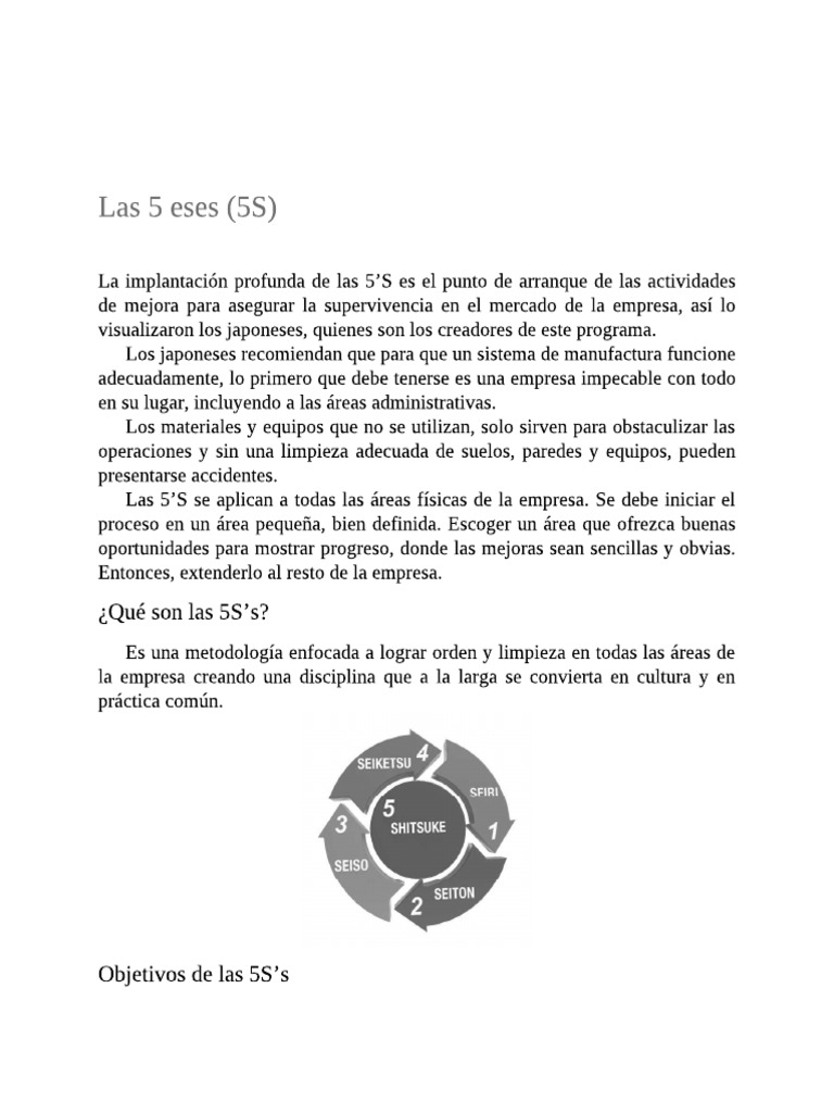 Las 5s Gestion De La Calidad Pdf