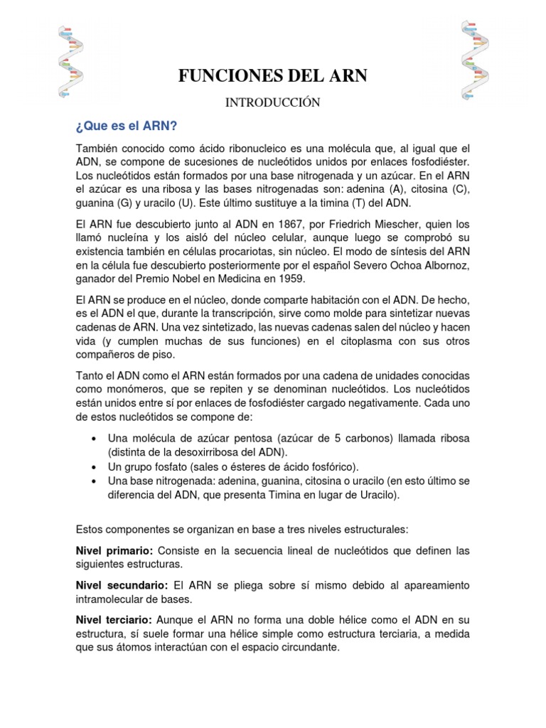 Funciones Del Arn 1 | PDF | Rna | Adn