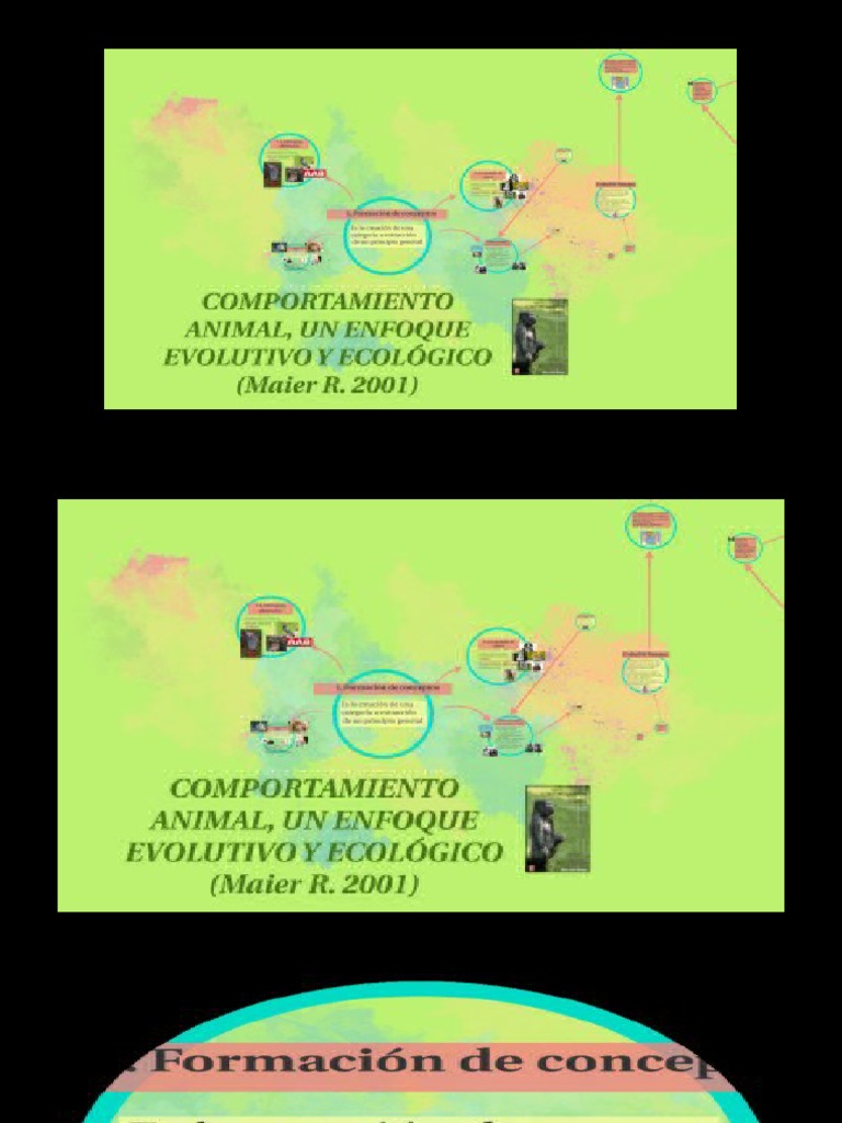 Comportamiento Animal. Richard Maier. | PDF