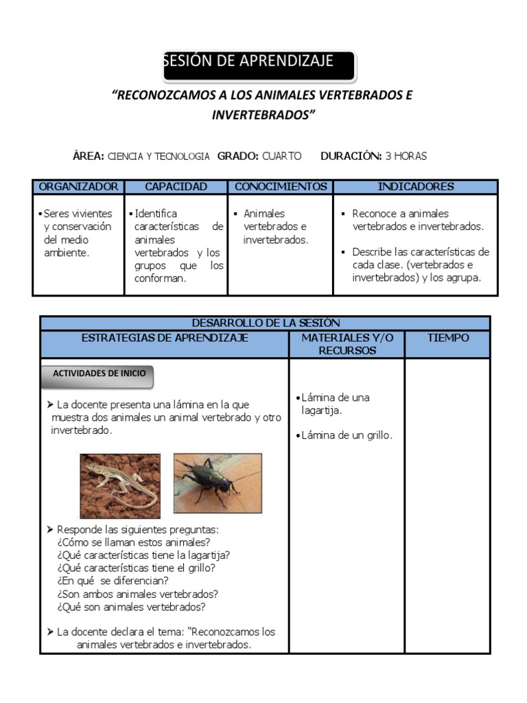 Sesion de 4to Animales Invertebrados | PDF | Invertebrado | Ciencia ...
