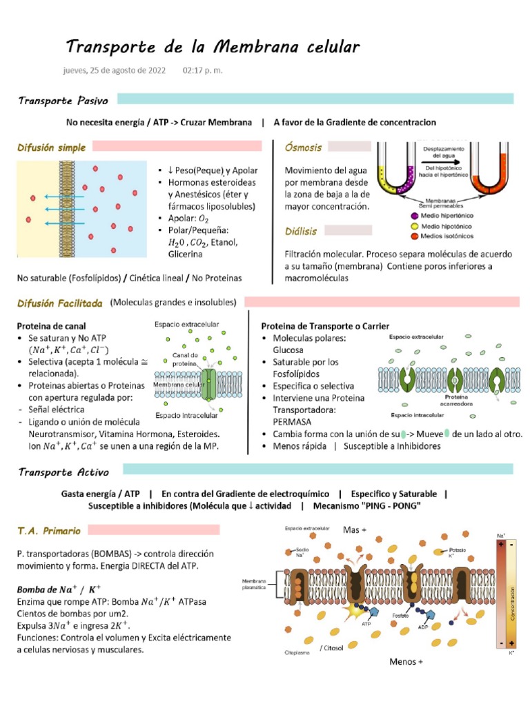 Transporte de Membrana | PDF