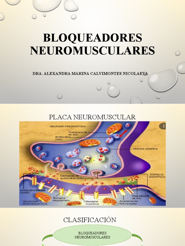 Bloqueadores Neuromusculares | PDF | Especialidades Medicas | Farmacología